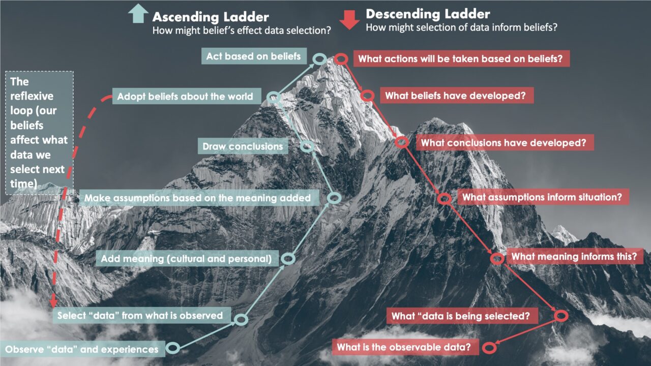 Ladder of Inference Harvard Model | CO2 Coaching